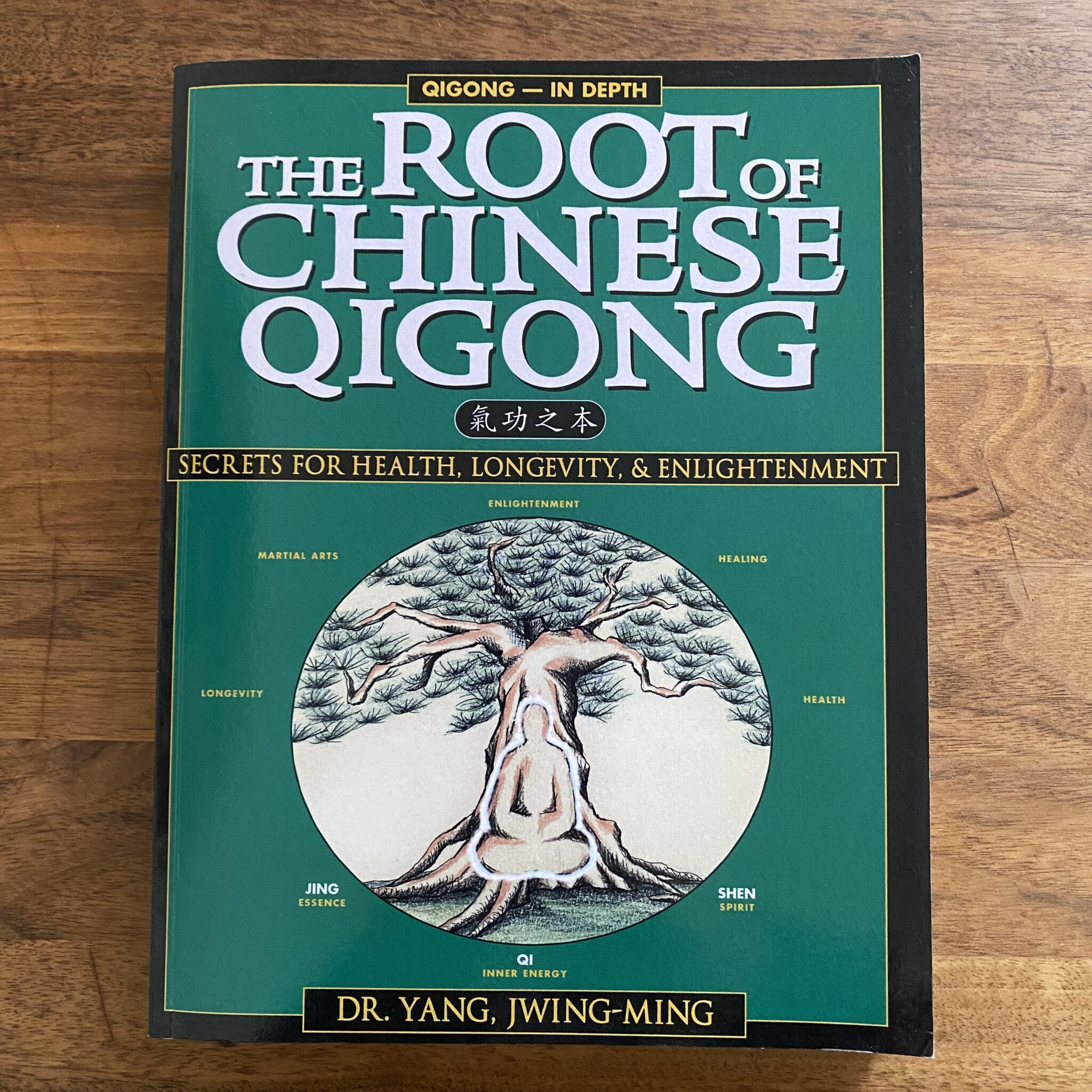 6 best Qigong books you want to read